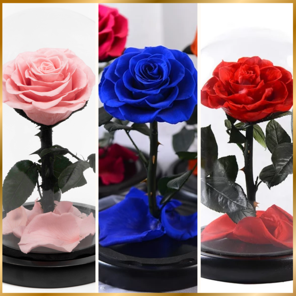 Beauty & Beast Rose Collection | Love Flowers